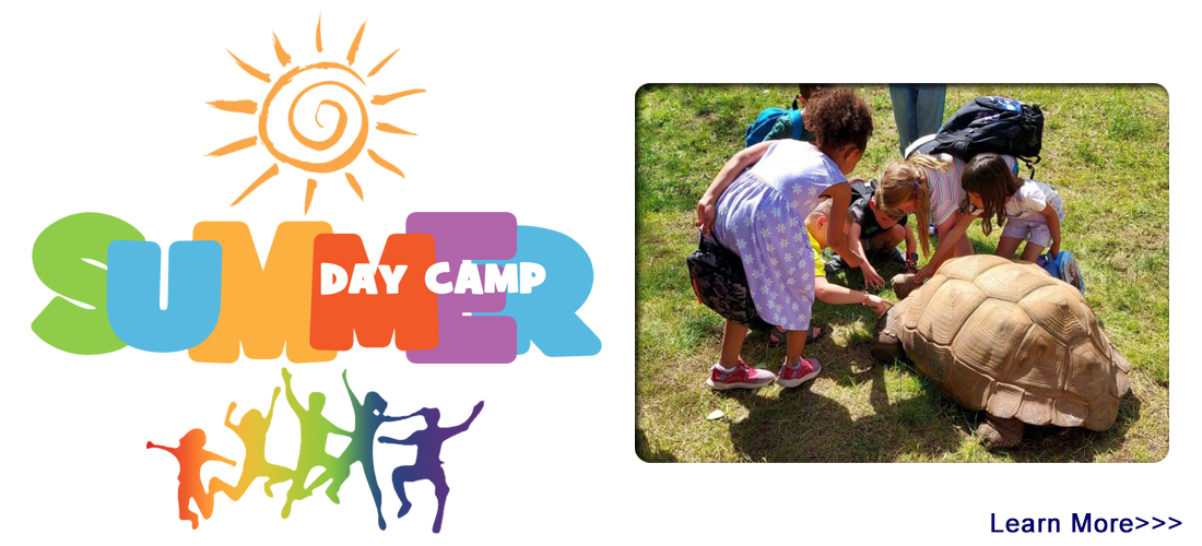 Learning Tree Daycare and Preschool | Run, Jump, Play, Learn!